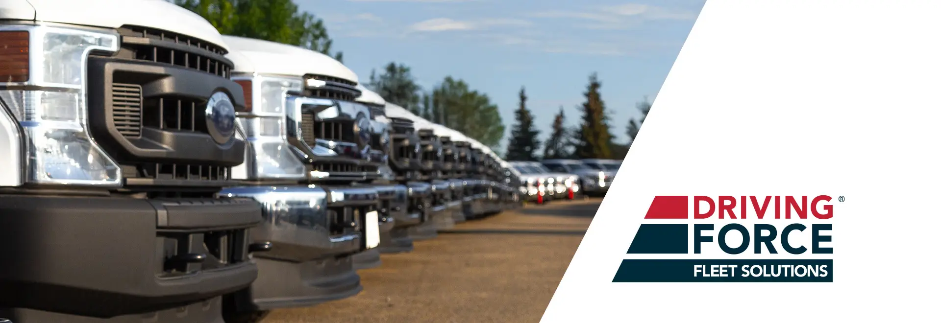 Drivng Force Store | Elite Promotional Marketing